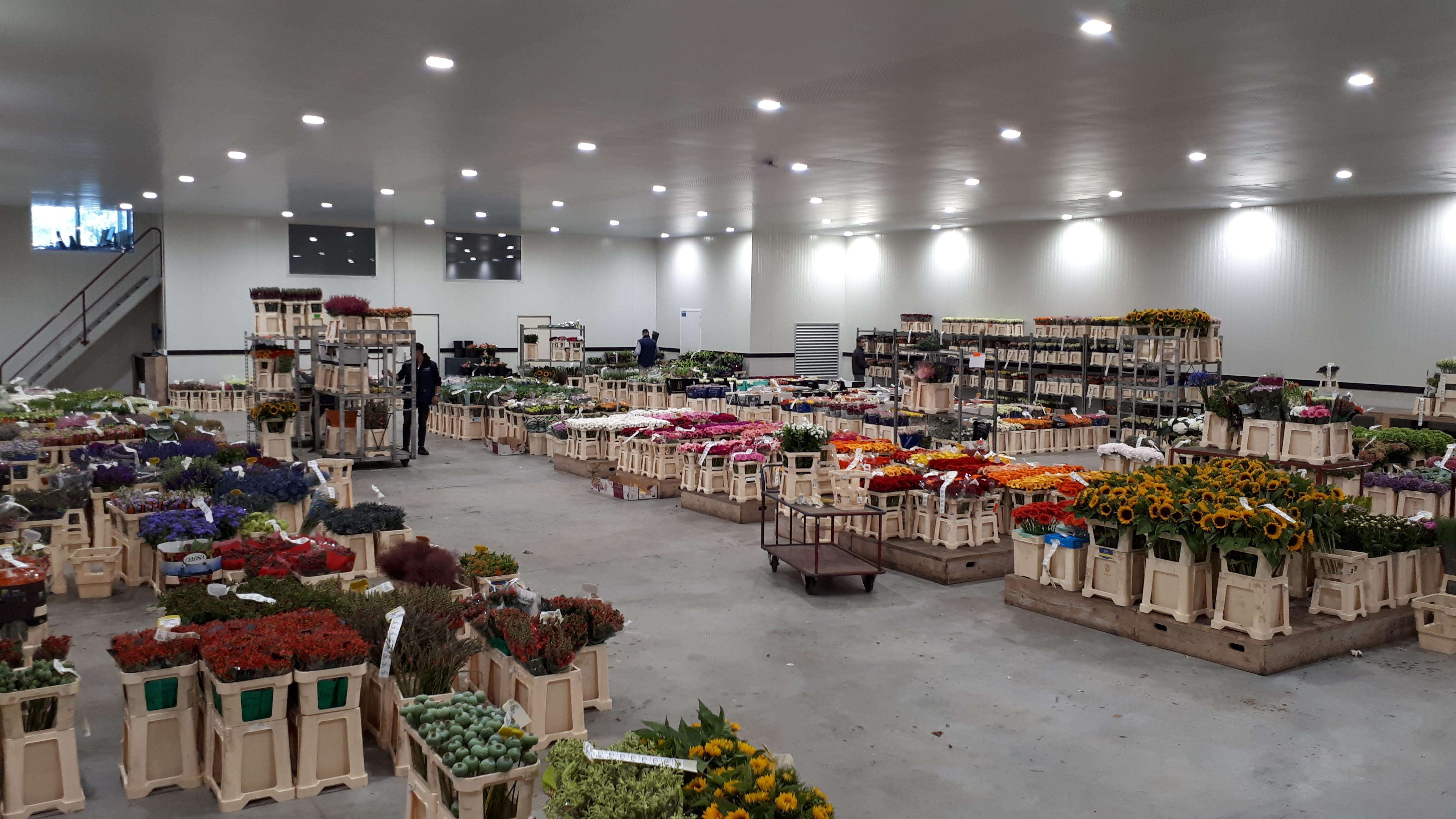 Cao Groothandel Bloemen En Planten 2019 - Bloemen